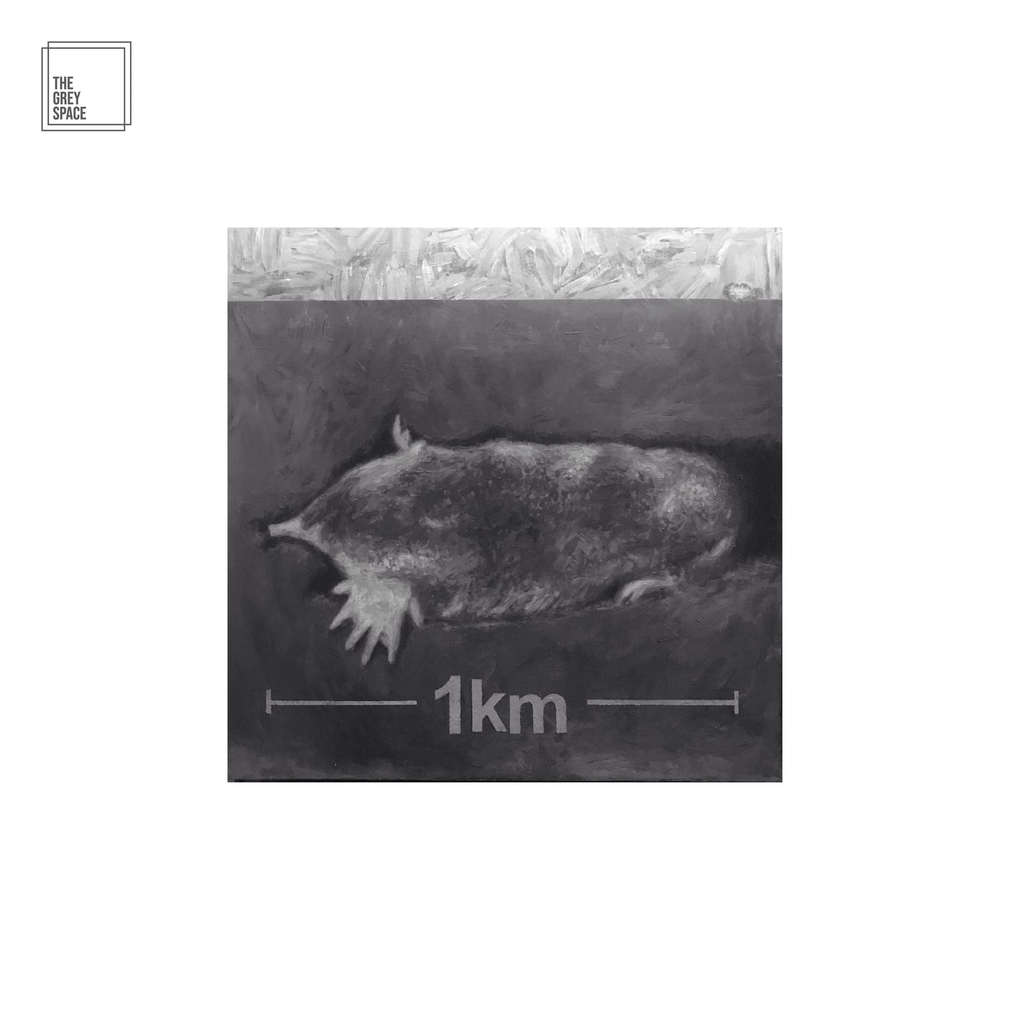 Megamole – The Grey Space